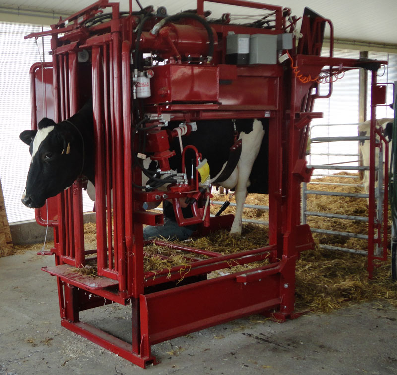 Photo gallery | Soni Brand Farm & St-Isidore Storage Ltd.