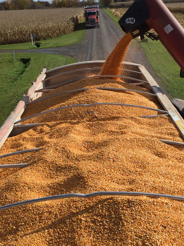 Photo gallery | Soni Brand Farm & St-Isidore Storage Ltd.